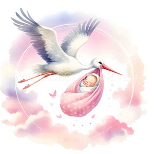 Baby Girl and Stork Clipart Bundle - 10 High Quality Jpgs - Digital ...