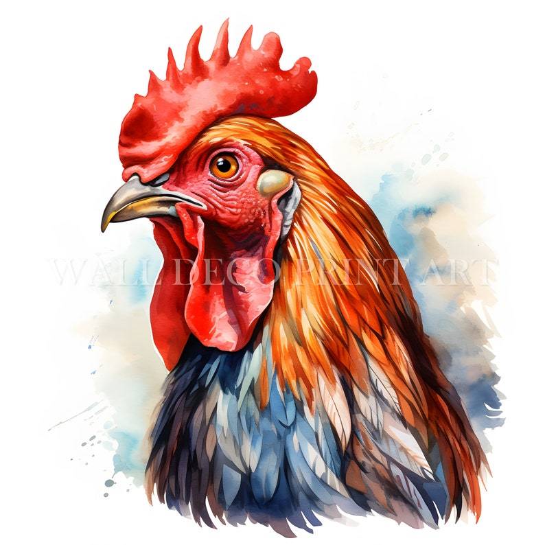 Beautiful COCKEREL Clipart Bundle 10 High Quality Jpgs - Etsy