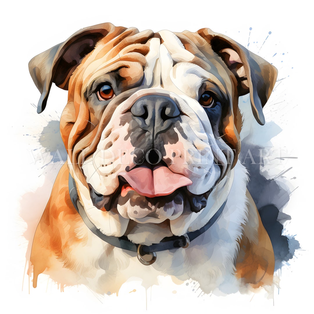 Cute Bulldog Puppy Clipart Bundle - 10 High Quality Jpgs - Digital ...