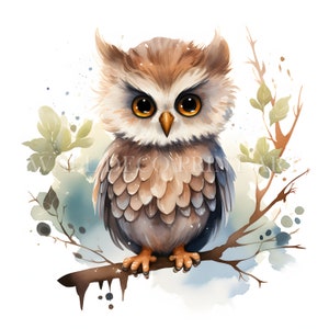 Cute Little Owl Clipart Bundle - 10 High Quality Jpgs - Digital ...