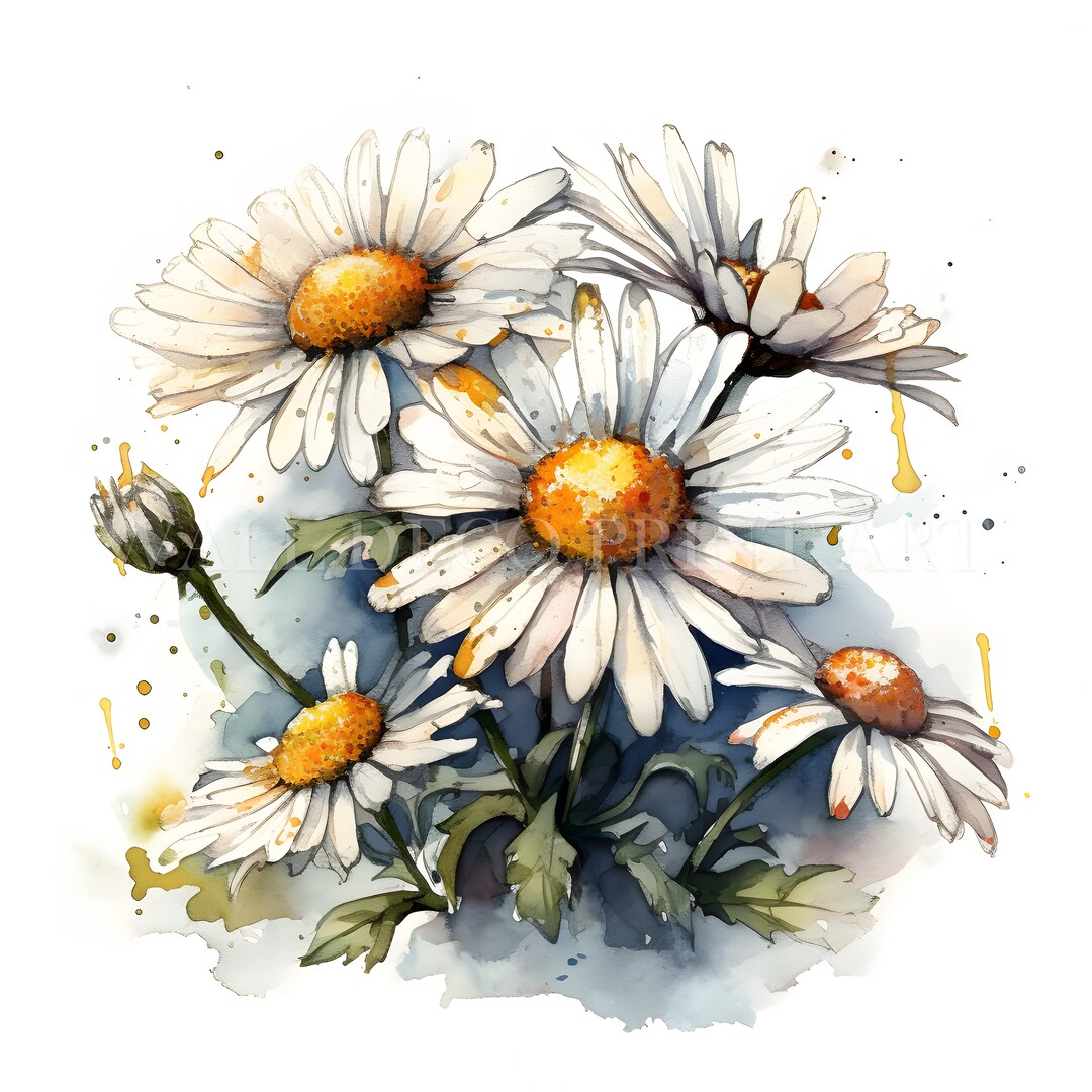 Watercolor Spring Flowers Clipart - Daisy - 10 High Quality Jpgs ...