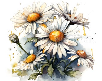 Daisy Watercolor Clipart Watercolor Floral Clipart Daisy - Etsy
