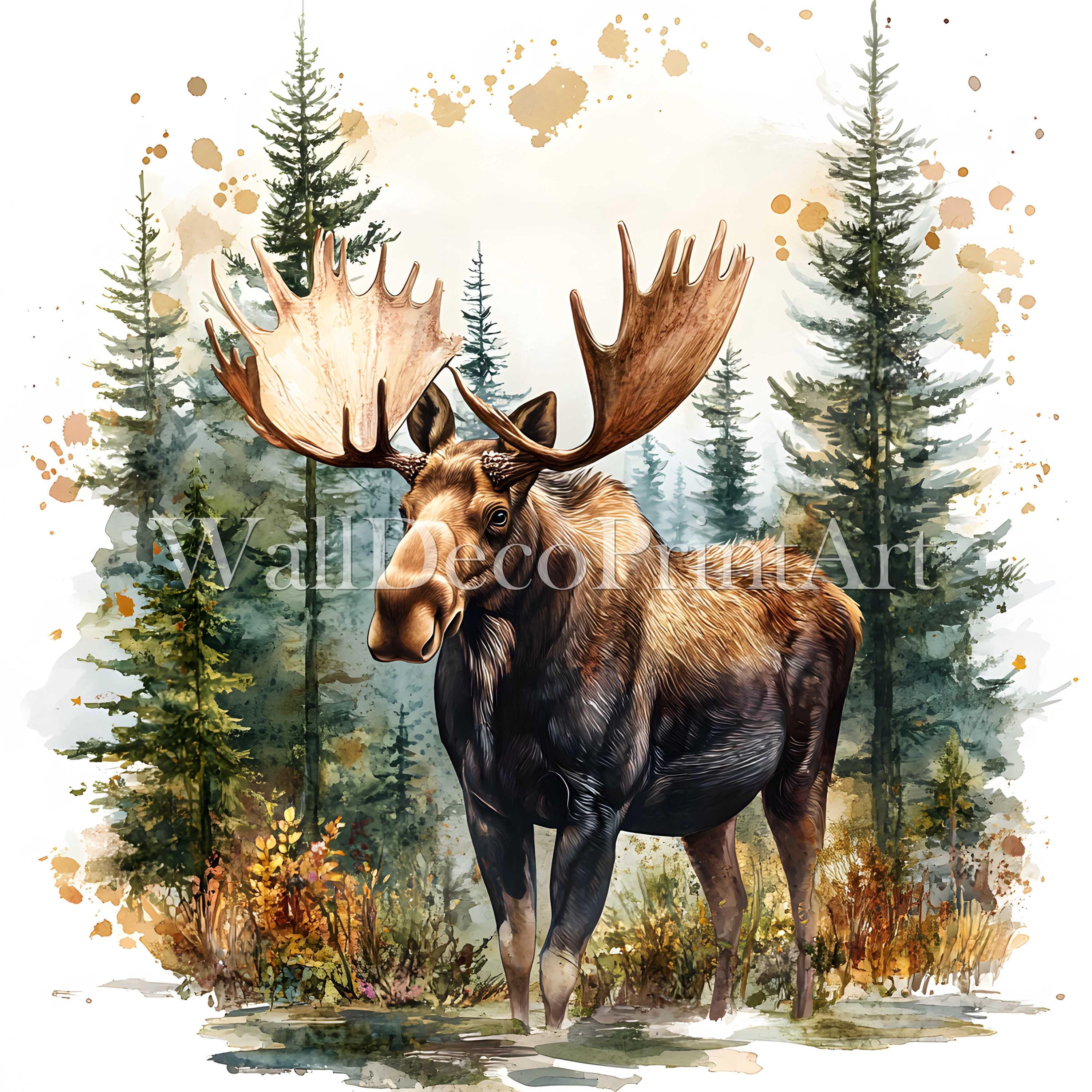 Beautiful Moose Clipart Bundle - 10 High Quality JPG - Digital Download ...