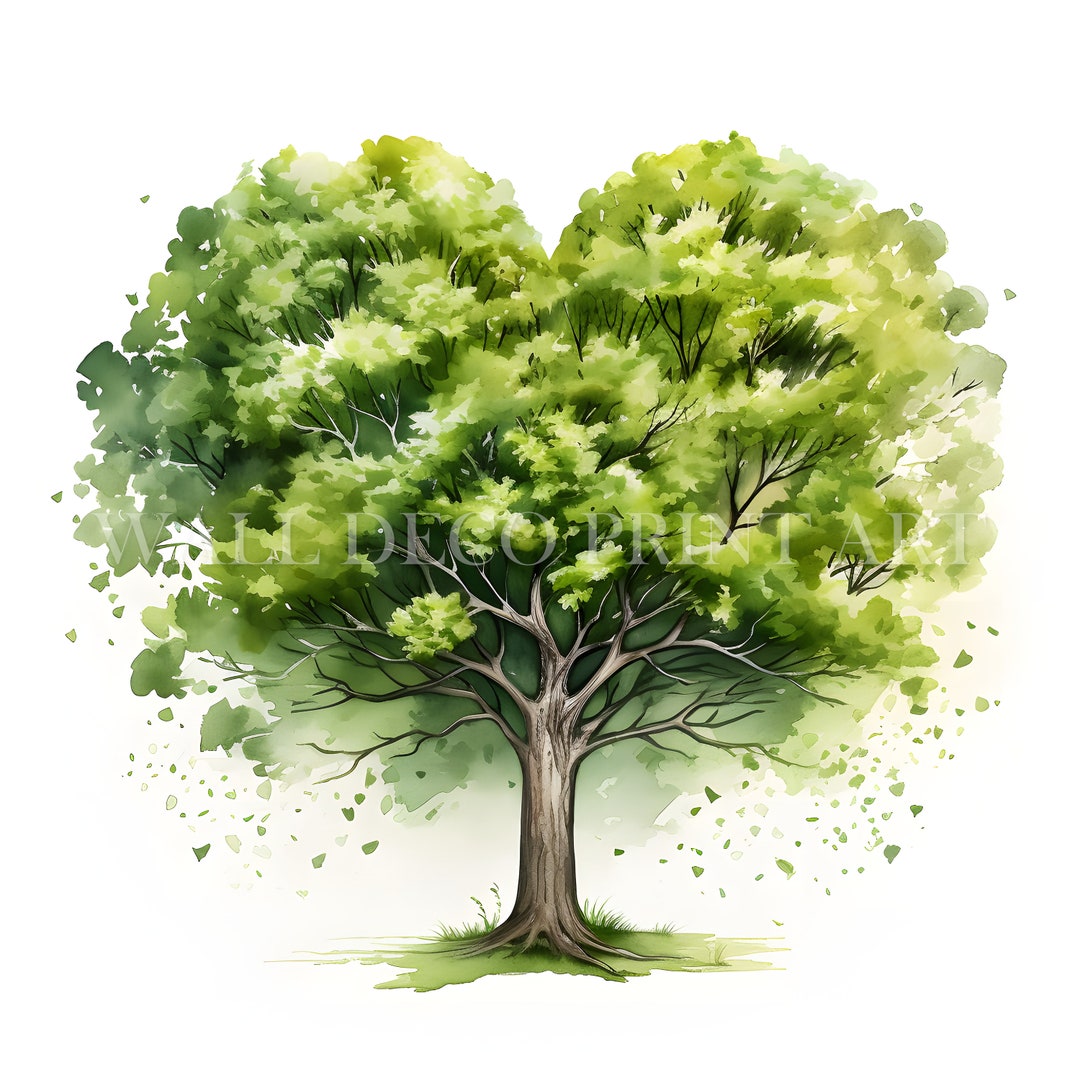 Deciduous Trees Clipart Bundle - 11 High Quality Jpgs - Digital ... Deciduous Trees Clipart Bundle - 11 High Quality Jpgs - Digital ...