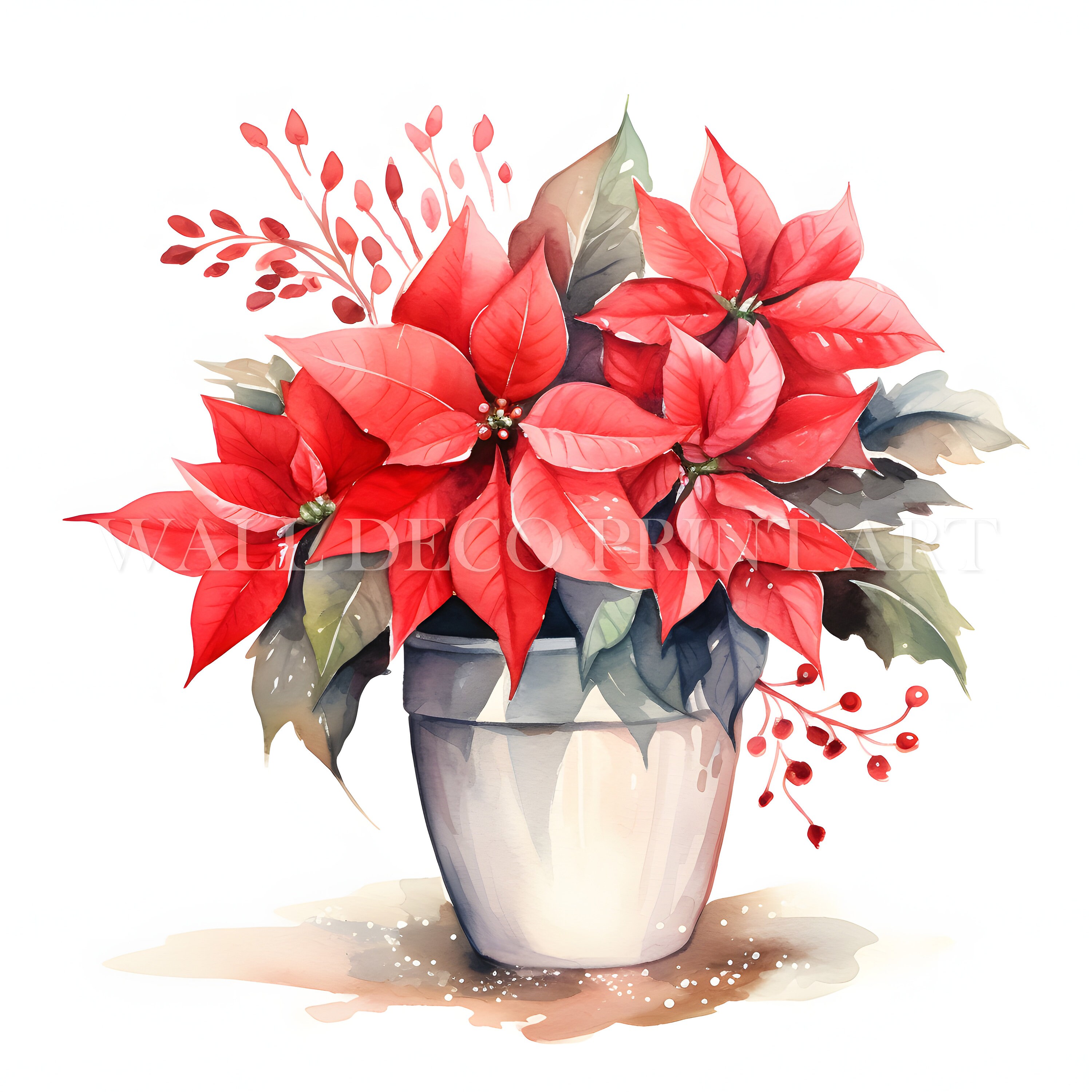 Potted Poinsettia Clipart Bundle 12 High Quality JPG - Etsy