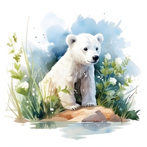 Cute Baby Polar Bear Clipart Bundle - 9 High Quality Jpgs - Digital ...