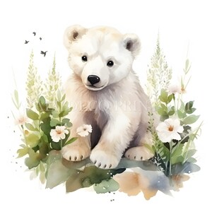 Cute Baby Polar Bear Clipart Bundle - 9 High Quality Jpgs - Digital ...