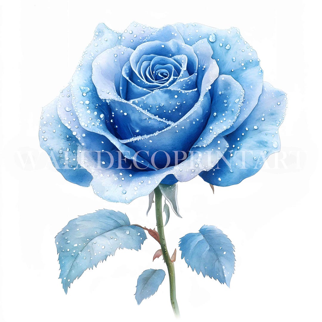 10 Frozen Roses Clipart - High Quality Jpgs - Digital Downloads ...