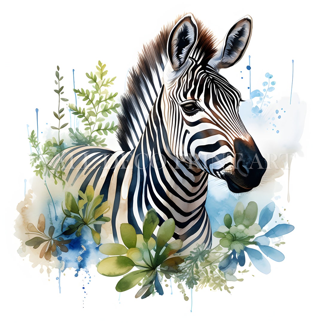 Beautiful ZEBRA Clipart Bundle - 10 High Quality Jpgs - Digital ...