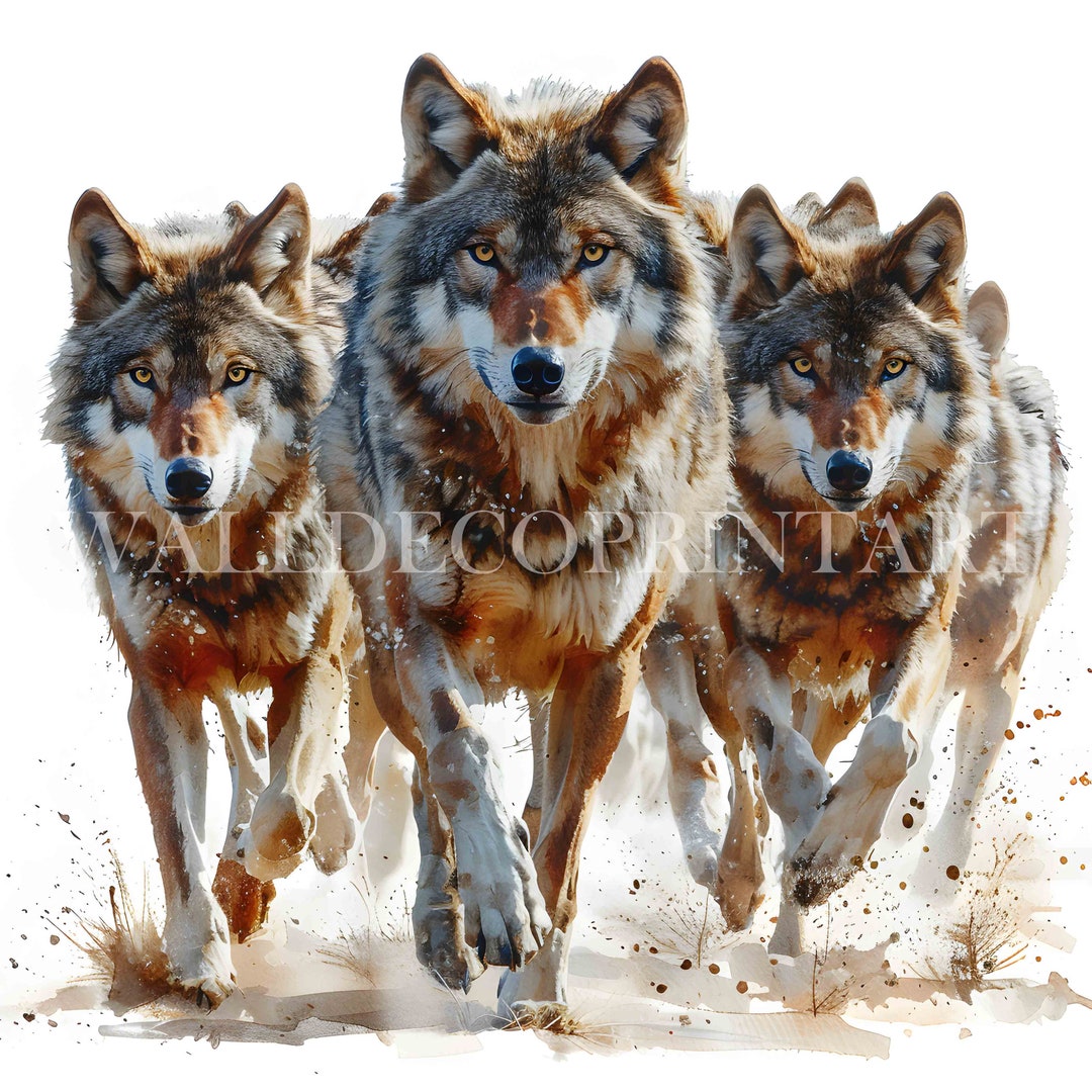 10 Brave Wolfs Pack Clipart Bundle - High Quality Jpgs - Digital ...