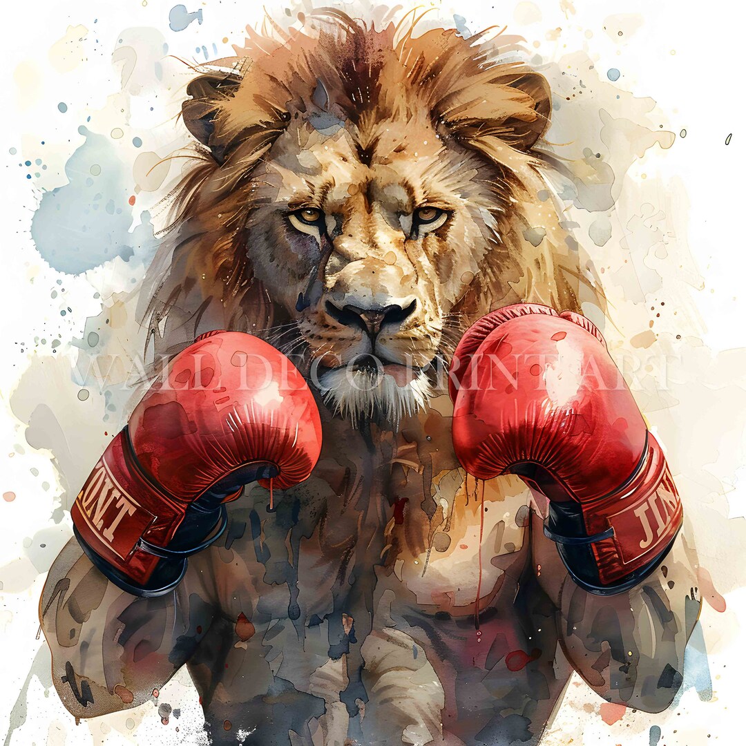 Cool Boxing Lion Clipart Bundle - 9 High Quality Jpgs - Digital ...