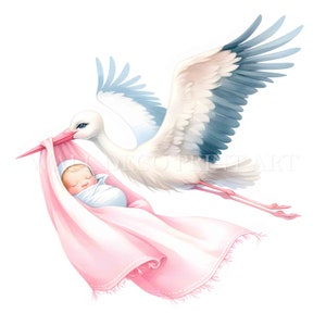 Baby Girl and Stork Clipart Bundle - 10 High Quality Jpgs - Digital ...