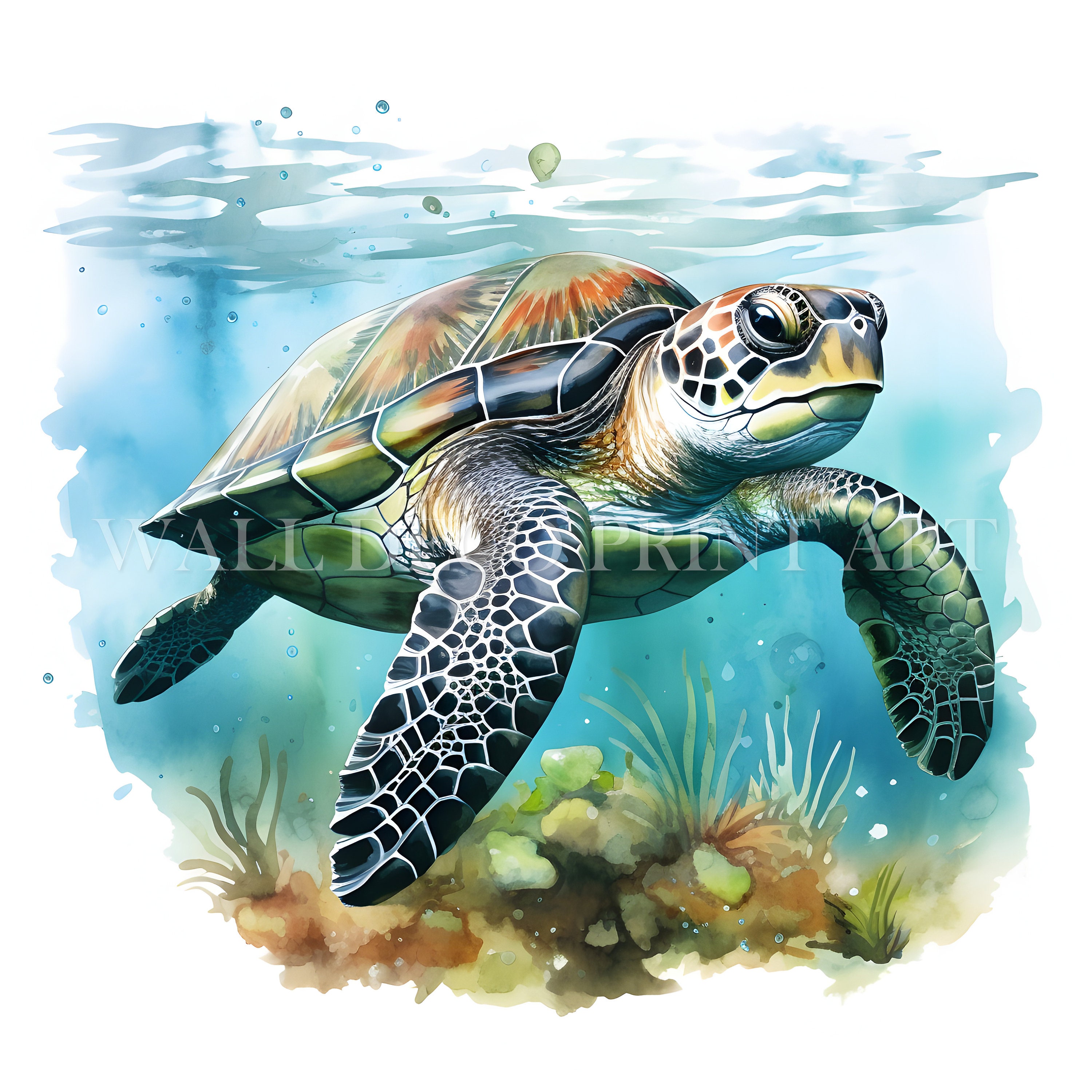 Beautiful Sea Turtle Clipart Bundle 10 High Quality JPG - Etsy