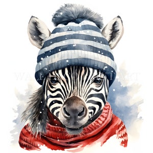Christmas Zebra Clipart Bundle - 10 High Quality JPG - Digital ...