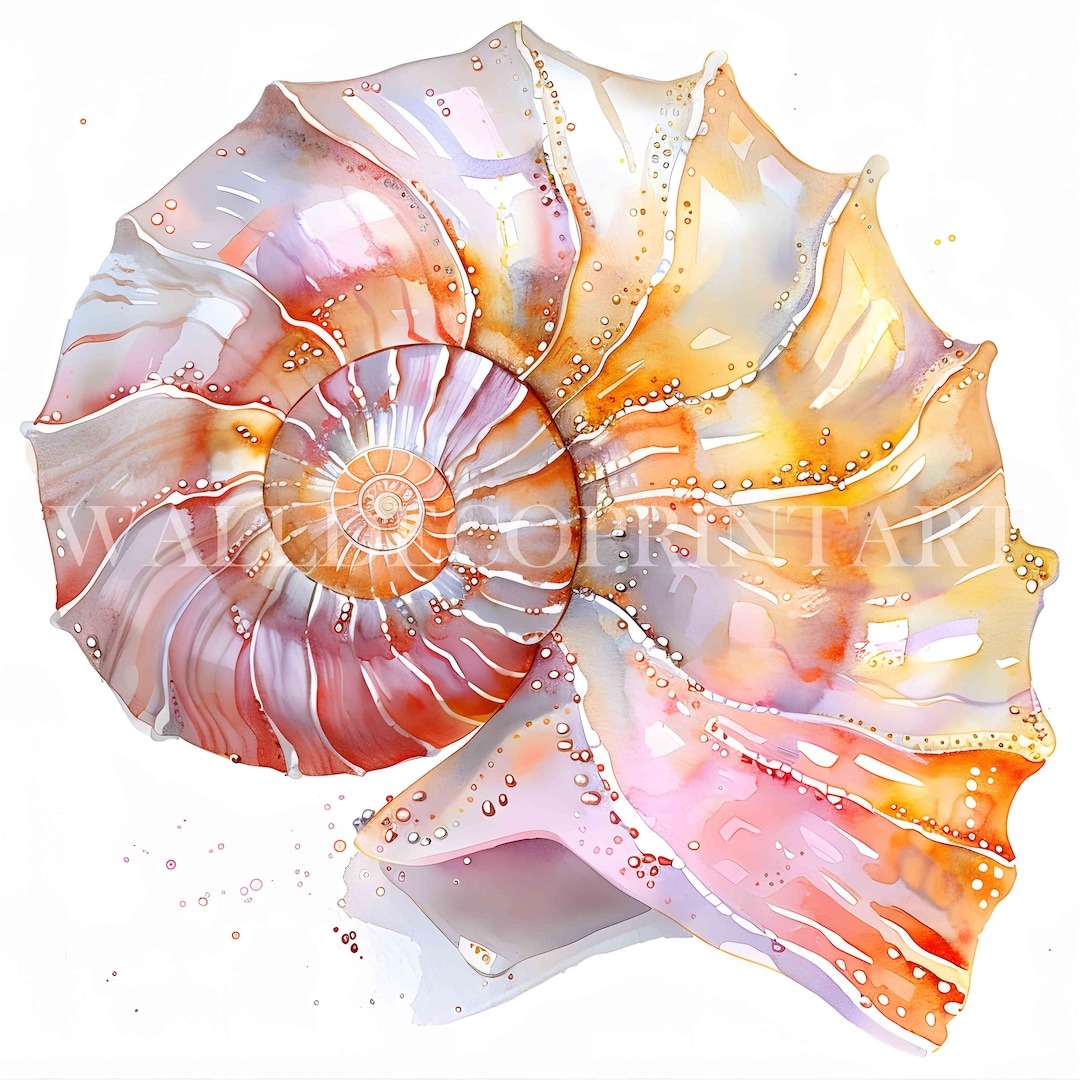 Pink & Gold Abstract Seashells Clipart Bundle - 10 High Quality Jpgs ...