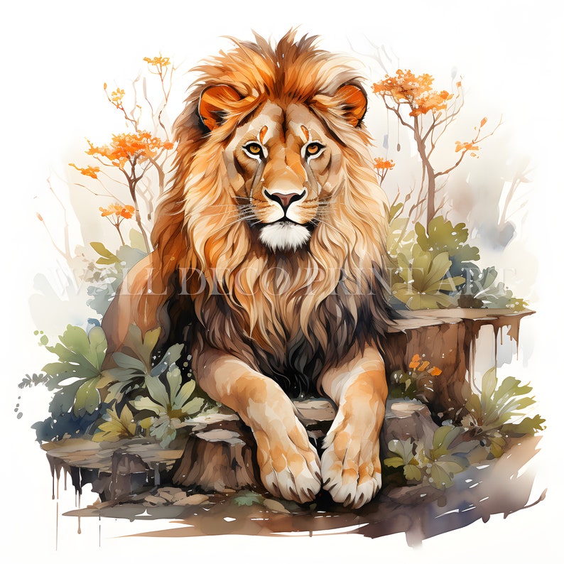 Beautiful Lion Clipart Bundle 12 High Quality Jpgs Digital - Etsy