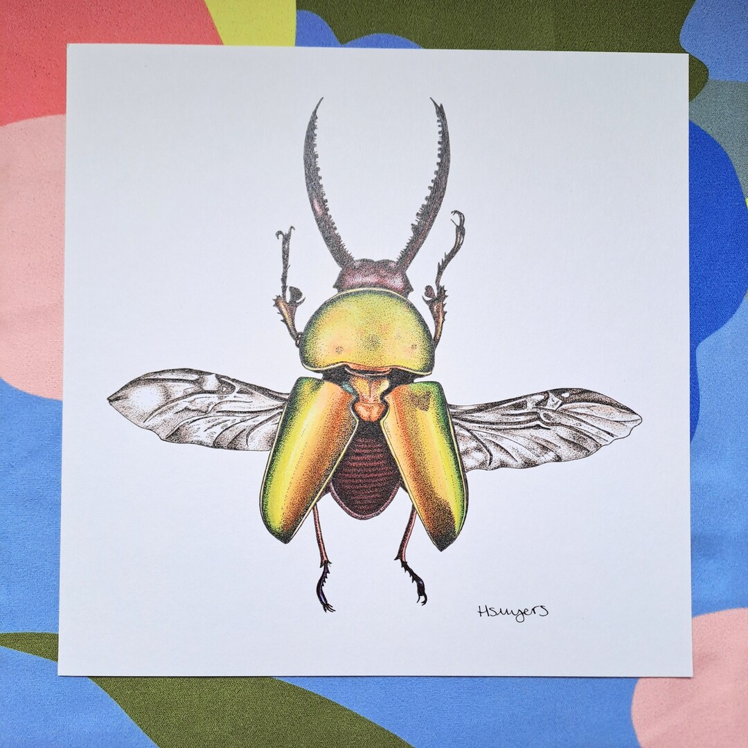 Square Beetle Art Print - Etsy