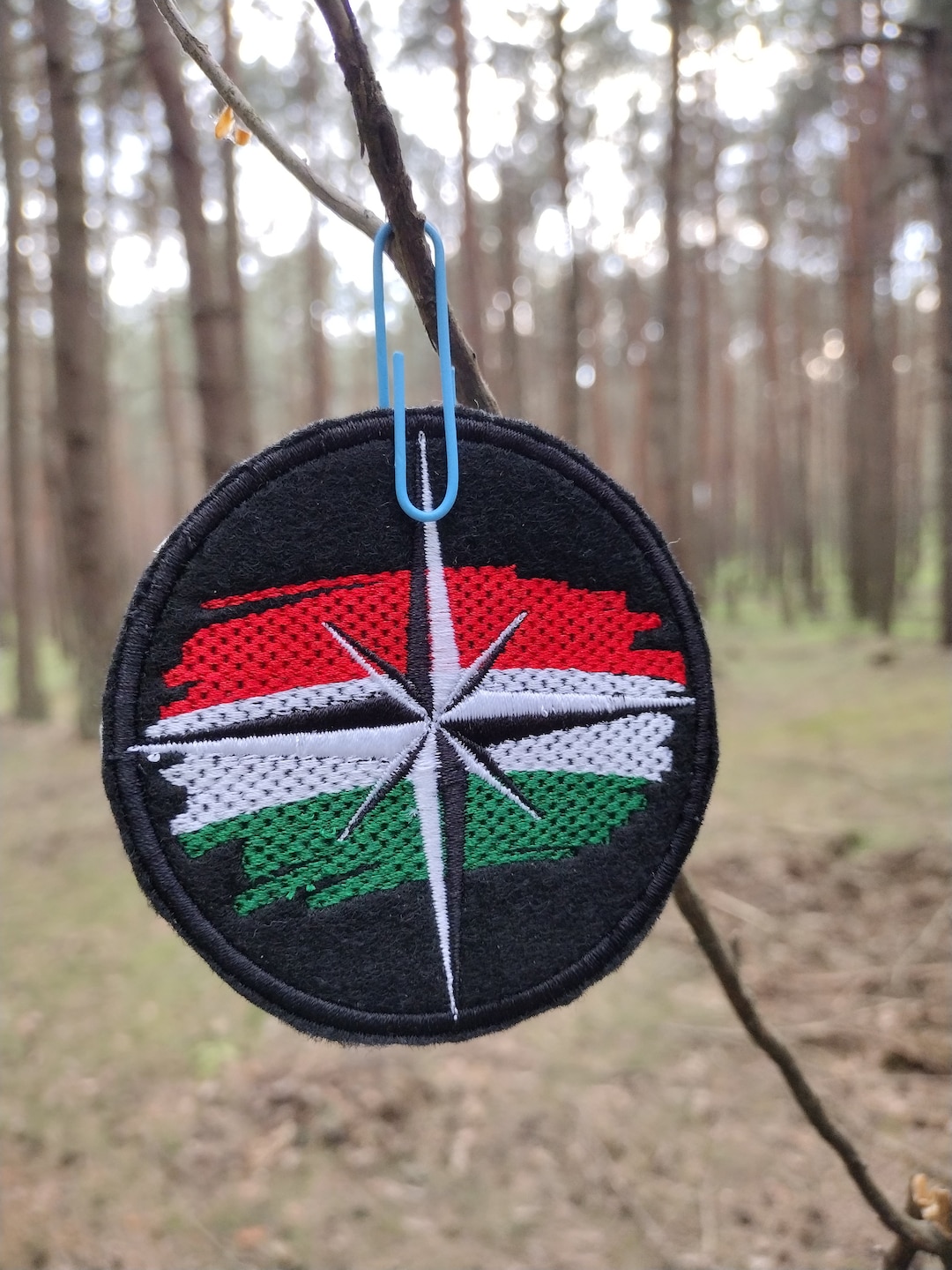 National Flag and a Compass Rose on Embroidered Patch Hungary Travel ...