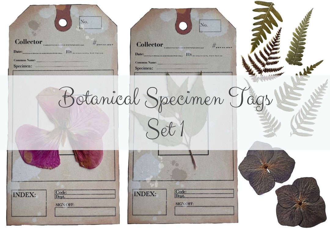 Botanical Specimen Tags 1 Make Your Own Junk Journal Printable Digital ...