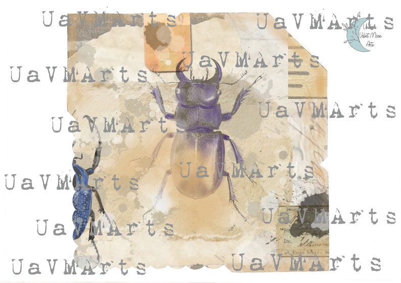 Printable Antique Beetle Make Your Own Junk Journal Scrapbook Envelopes ...