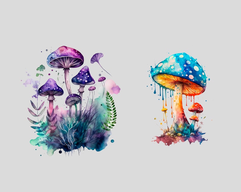 Watercolor Mushrooms Clipart Bundle, Cute Nature Art, Set of 10, PNG ...