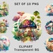 Watercolor Mushrooms Clipart Bundle, Cute Nature Art, Set of 10, PNG ...