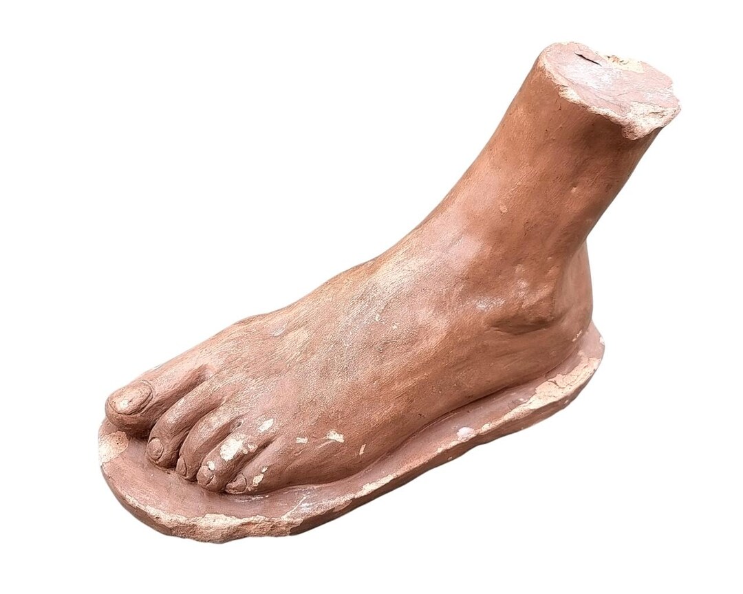 Anatomical Model of Clay Foot - Etsy