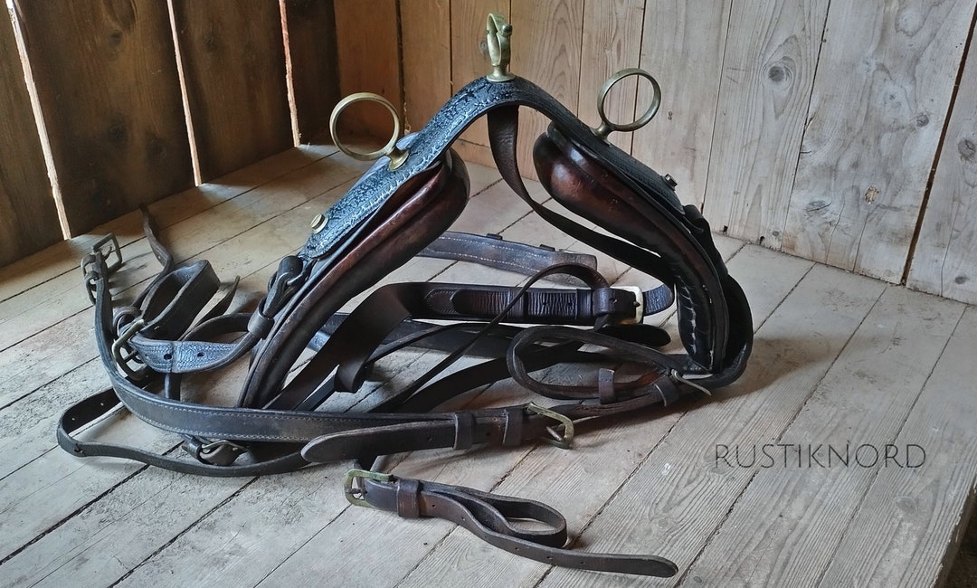 Vintage Leather Horse Harness With Brass Fittings. Sold as Rustic Decor ...