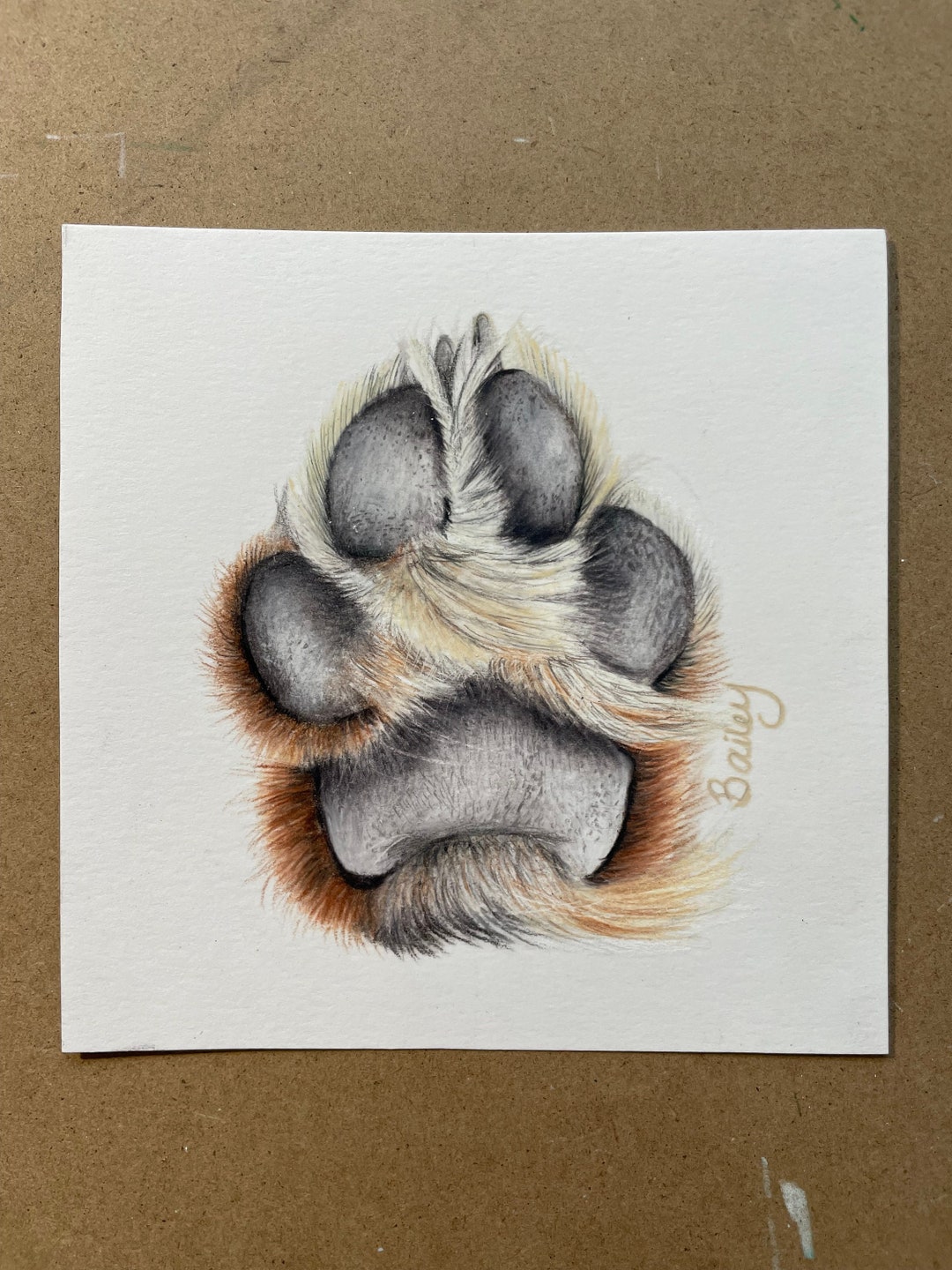 Custom Paw Print Drawing - Etsy