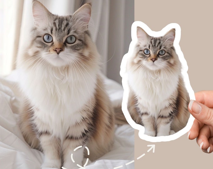 Personalized Cat Stickers - Hand Drawn | Custom Pet Stickers, Cat ...