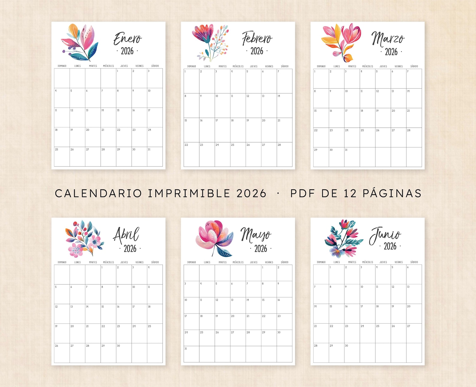 Calendario 2026 Para Imprimir · PDF De 12 Páginas · Hibiscus Harmony - Etsy