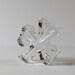 Waterford Crystal Shamrock Paperweight - Etsy
