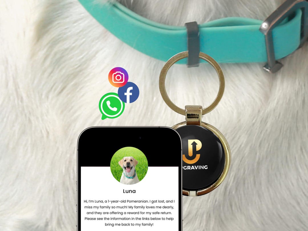 NFC Dog Tag | Smart Pet ID Tag for Collar - Etsy