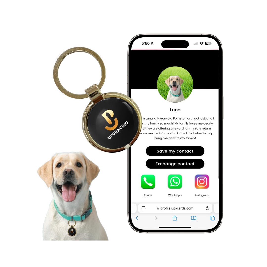 Smart Pet Tag Safety Device Pet ID Tap to Share Instant Info lost Pet ...