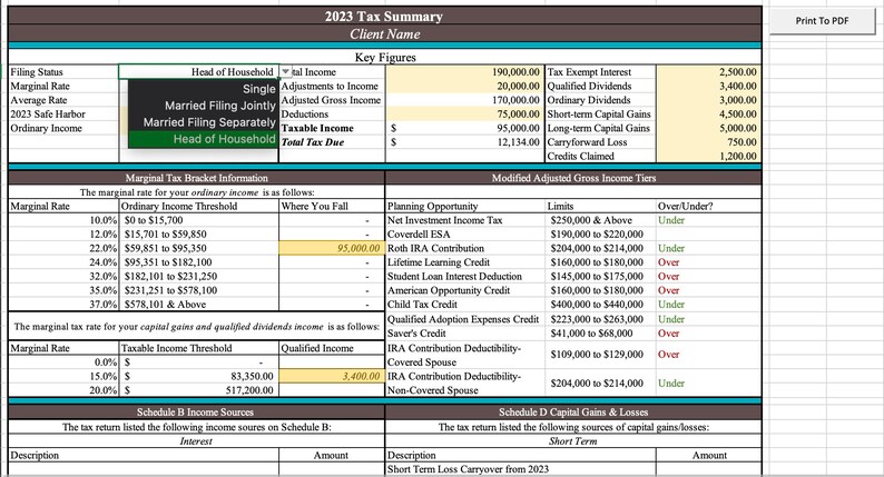 2023 Tax Pro Summary Worksheet - Etsy