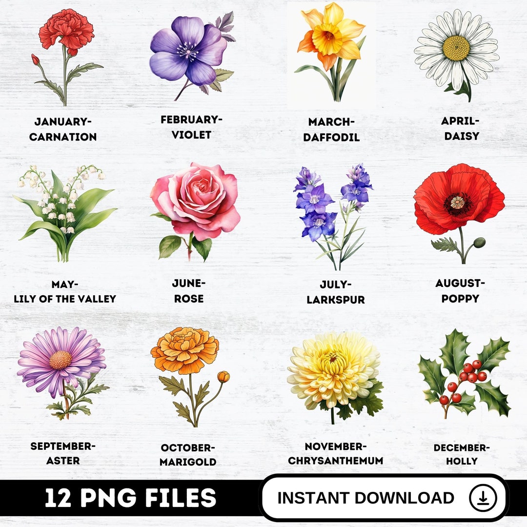 Birth Month Flower Png Bundle DIY Birth Flower Digital Files Birth ...