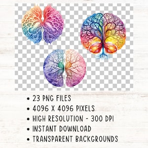Mandala Brain PNG Bundle, Colorful Brain Clipart, Mental Health Png ...