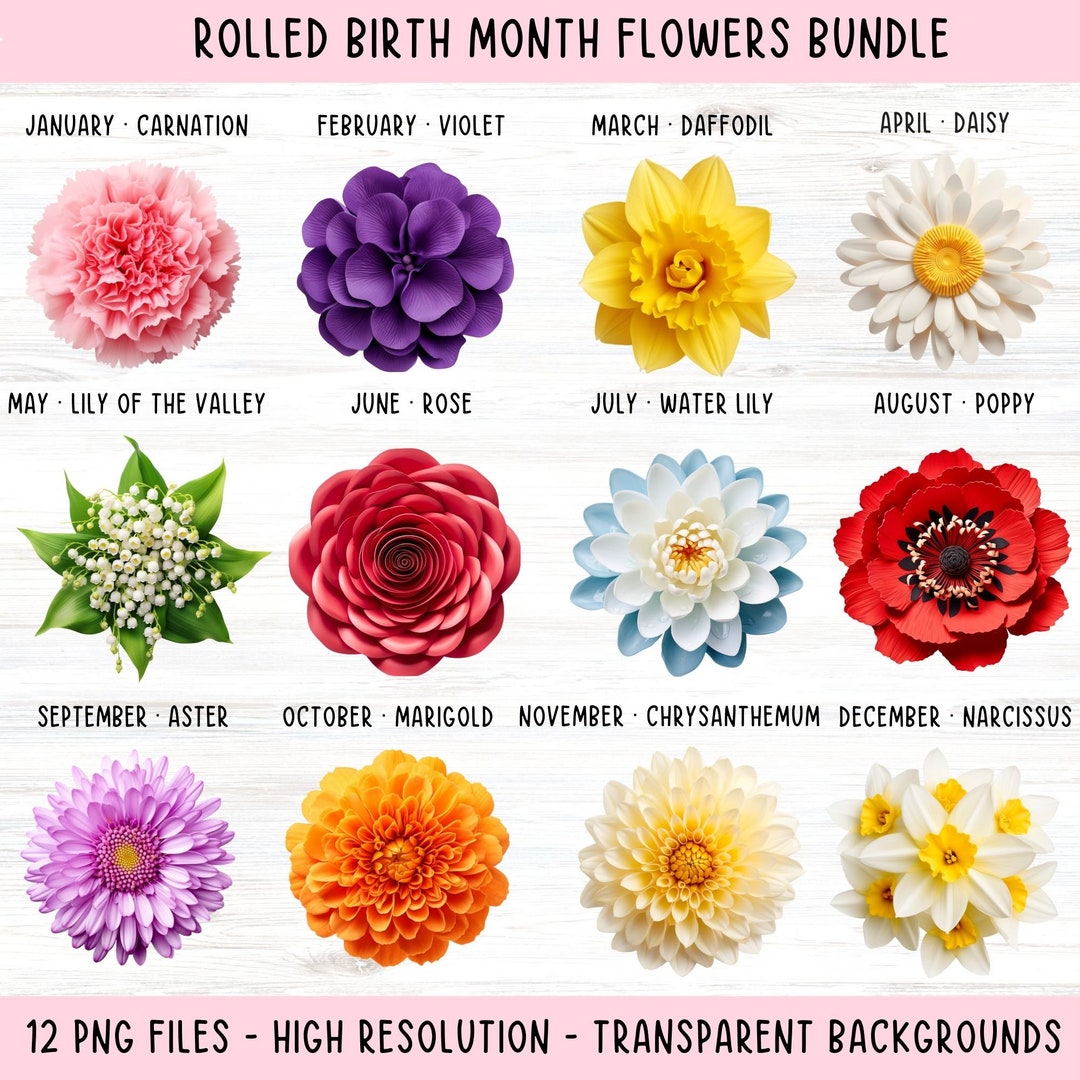 Birth Month Flower PNG Bundle, Watercolor Floral Birthday Clipart ...