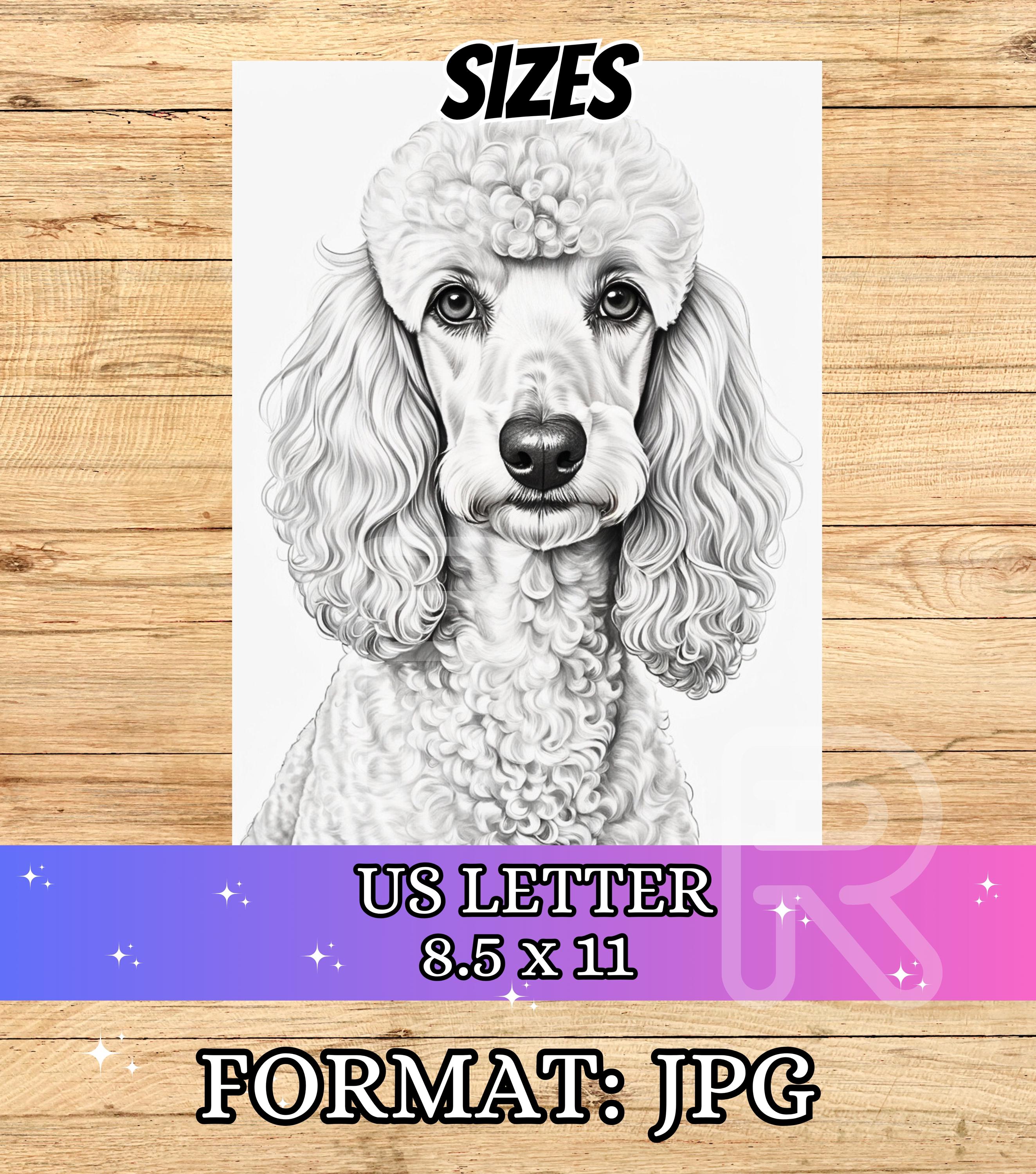 100 Dog Coloring Pages,dog Portraits to Color, Dog Breed to Color,dog ...