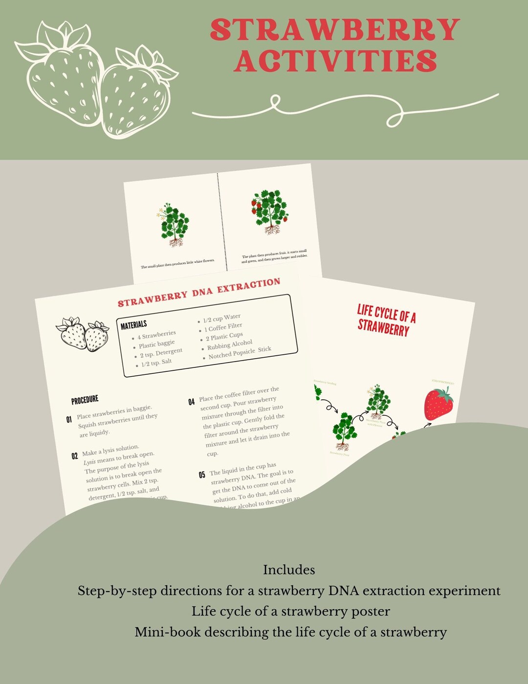 Strawberry Unit Study, Strawberries for Kids, Strawberry Activities PDF ...