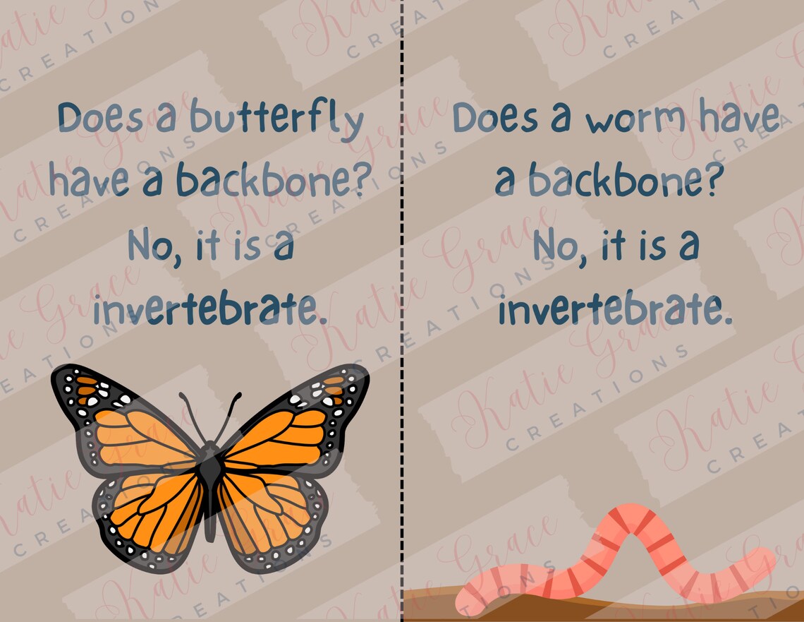 Printable Science Book Vertebrates and Invertebrates Plus Animal Card ...