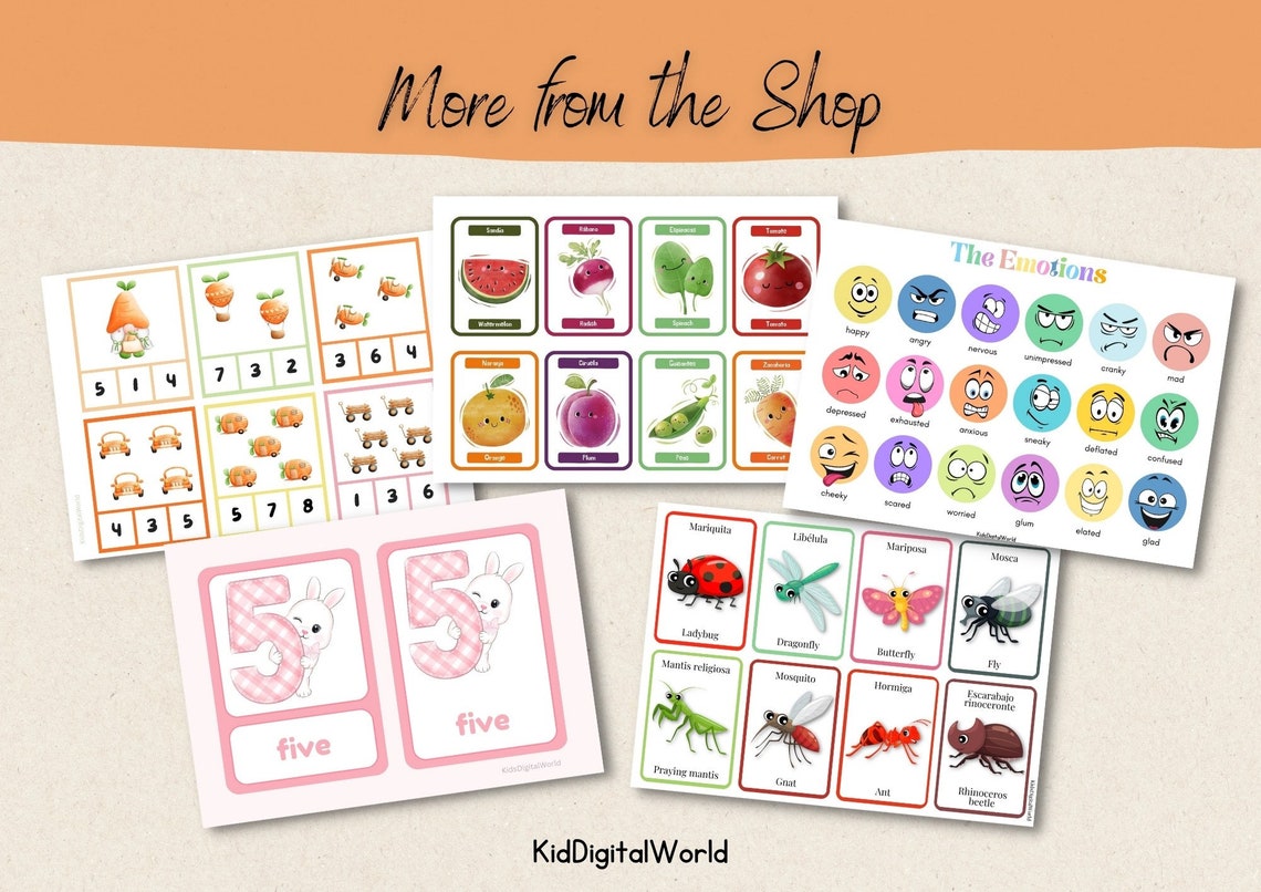 Spanish Feelings and Emotions Toddler Flash Cards Emotion Flashcards ...