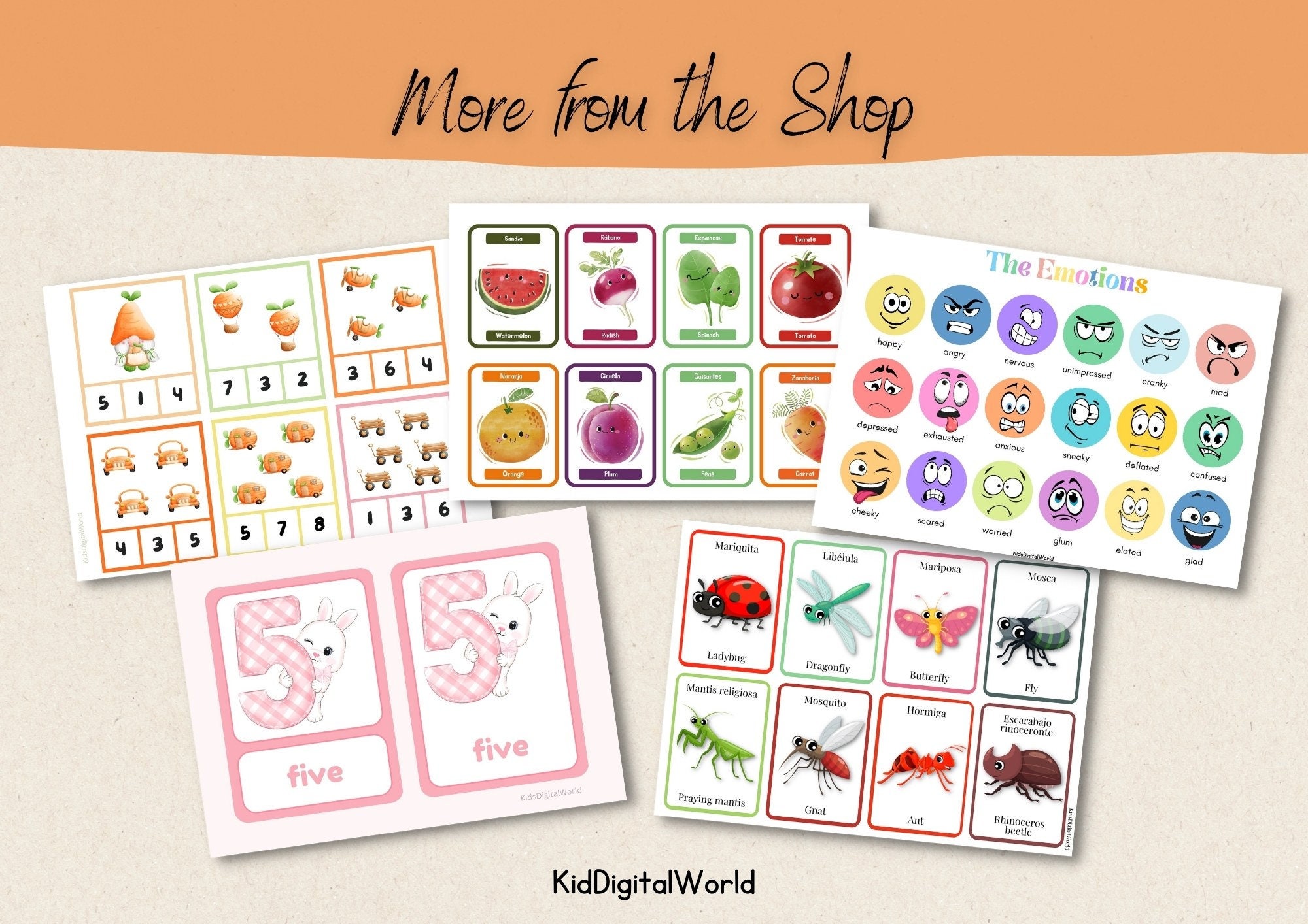 Spanish Feelings and Emotions Toddler Flash Cards Emotion Flashcards ...