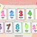 Colorful Bilingual Number Flash Cards: Counting 0-10 (PDF) - Etsy