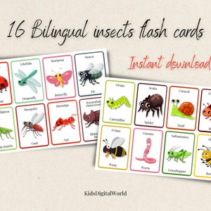 INSECTS 16 Montessori Cards / Bilingual Cards / Nomenclature - Etsy