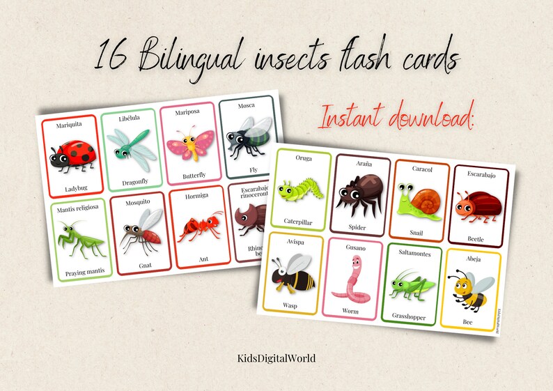 INSECTS 16 Montessori Cards / Bilingual Cards / Nomenclature - Etsy