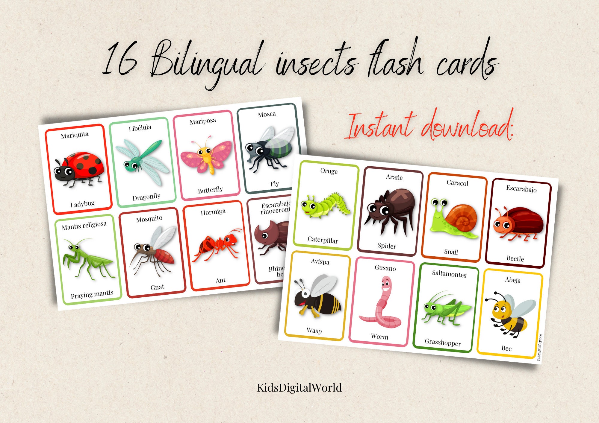 INSECTS 16 Montessori Cards / Bilingual Cards / Nomenclature - Etsy