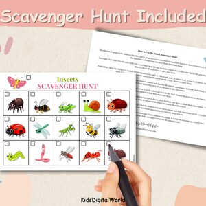 INSECTS 16 Montessori Cards / Bilingual Cards / Nomenclature Flashcards ...