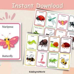 INSECTS 16 Montessori Cards / Bilingual Cards / Nomenclature Flashcards ...