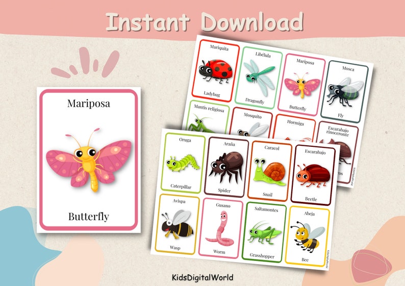 INSECTS 16 Montessori Cards / Bilingual Cards / Nomenclature Flashcards ...